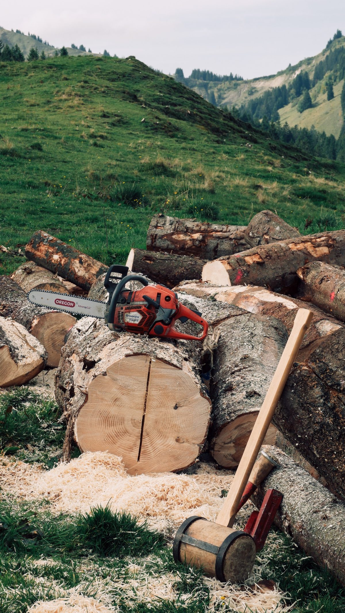 Dull Chainsaws and How to Sharpen Them